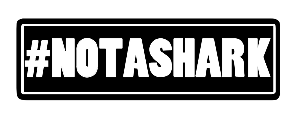 Nami Signature Pins – BossMonsta